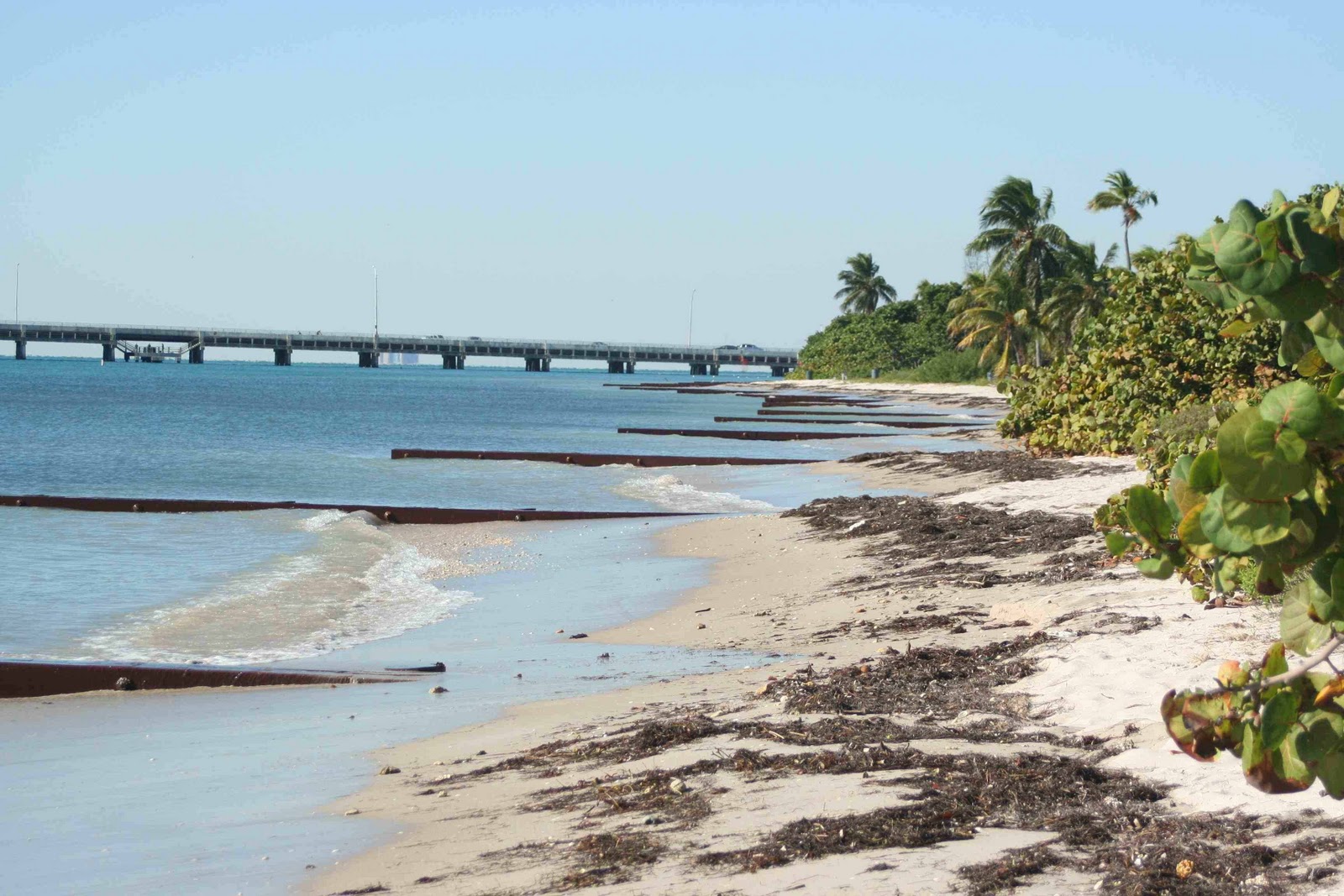 View from Virginia Key: November 2010