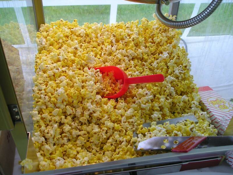 Wildflowers: A Day at the Fair