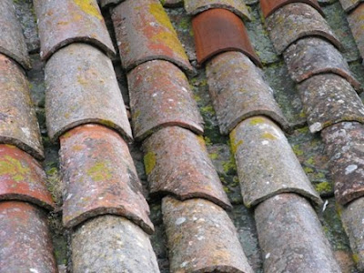 cuina generosa: teulades i teules