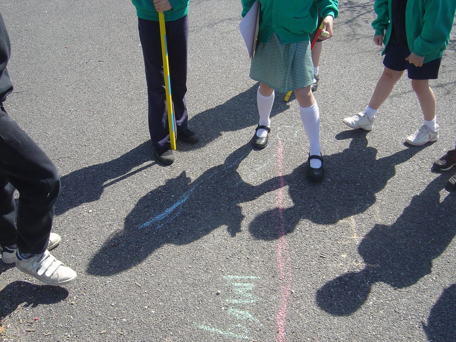 BSM Year 3 - Scarlet Macaw Base: Observing and Measuring Shadows