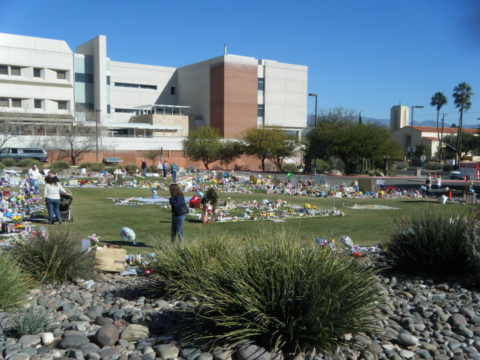 Umc Memorial Tucson