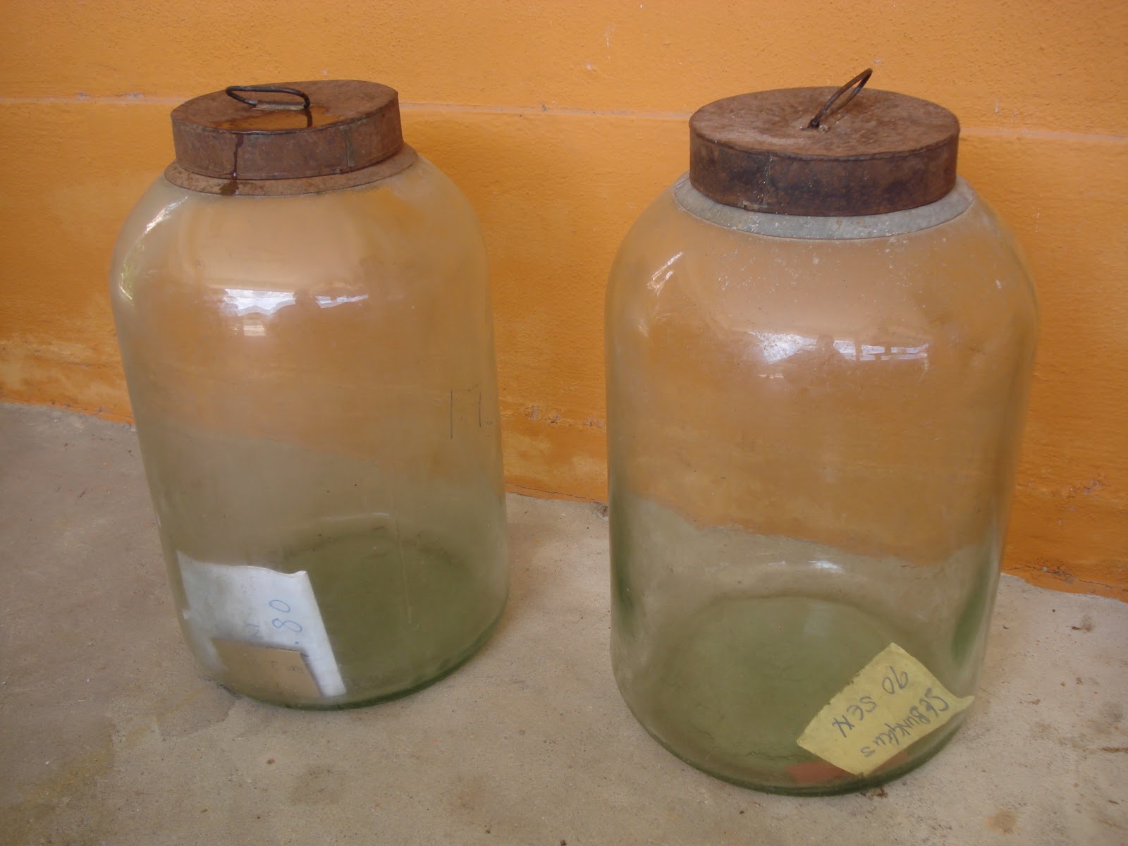 TEROPONG TEROPONG: Balang Pusaka