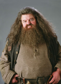 harrypottermoviescollections