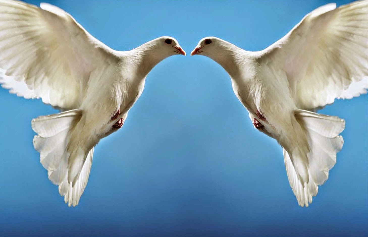 le défi de la vie: octobre 2010