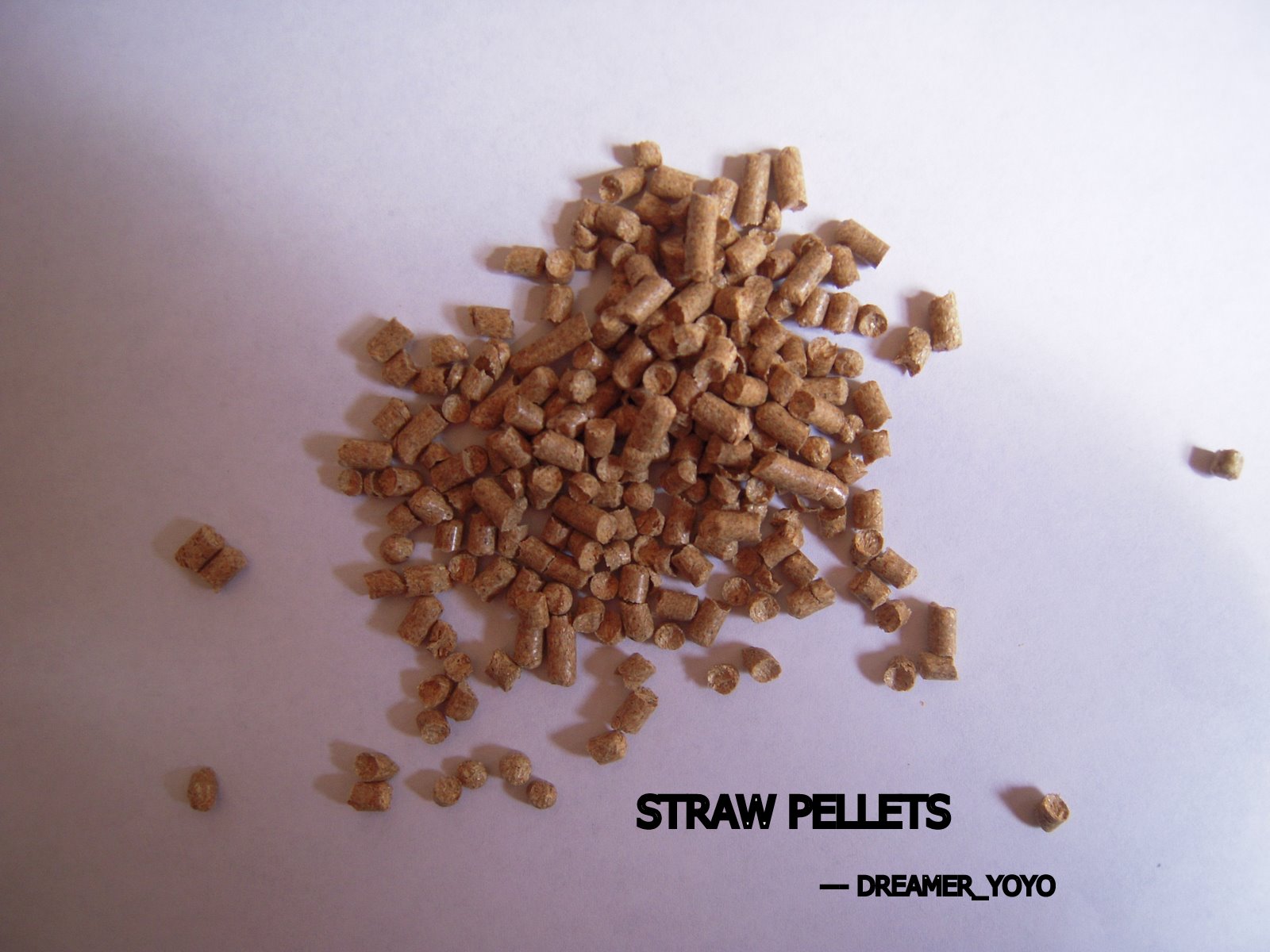 CRS && Straw Pellets:Cherry Shrimp