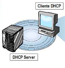 construccion de red area local: ¿Qué son las opciones de DCHP?