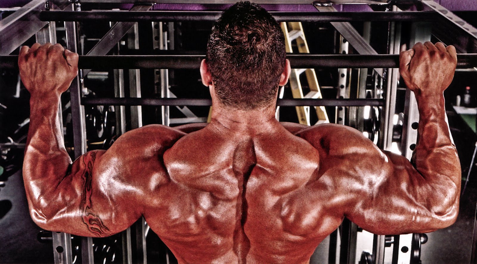 Bodybuilder Health: Happy New Year