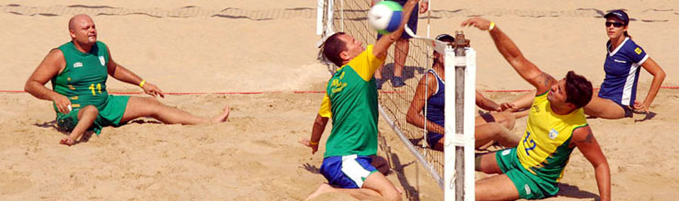 EDUCAÇÃO FÍSICA ADAPTADA E EDUCAÇÃO ESPECIAL - BLOG DO PROFESSOR SERGIO ...