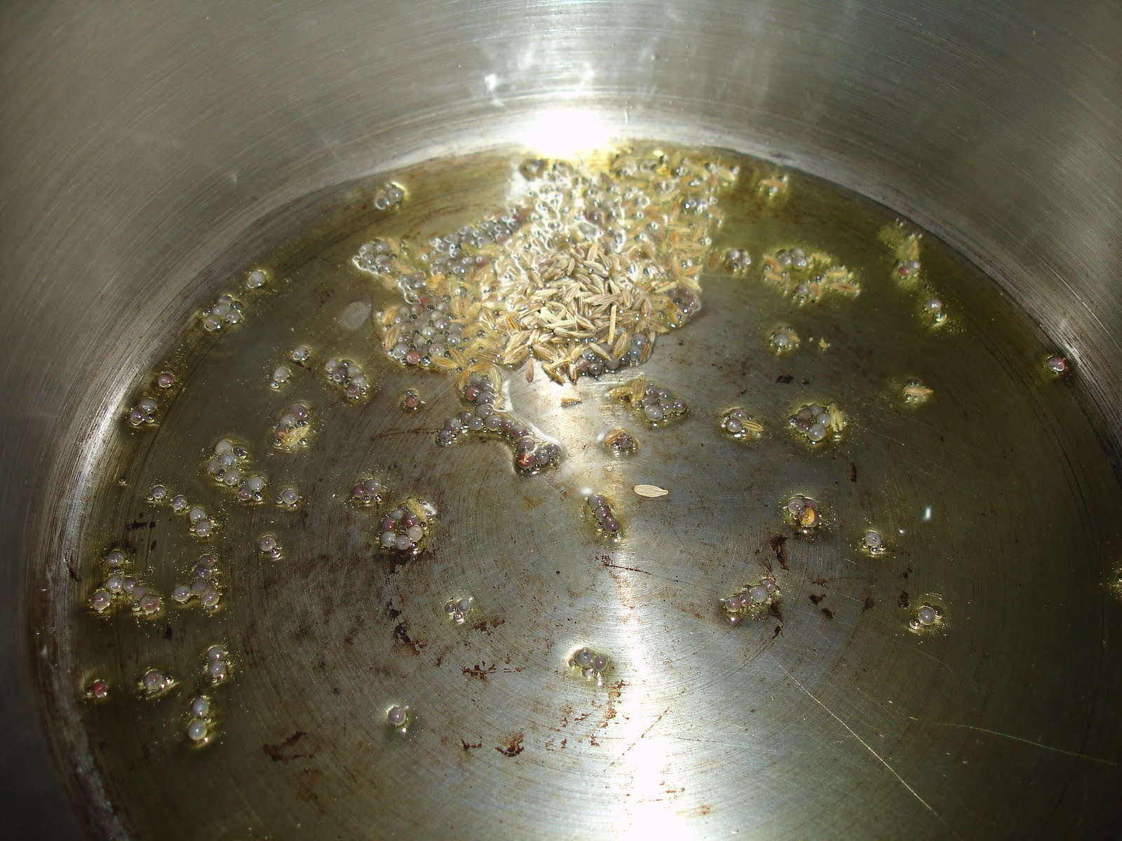 VineelaSiva: Chepalu Uppu Neellu