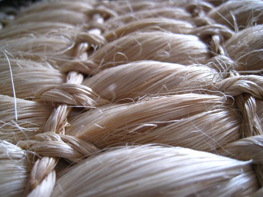 Abaca | Just Another Noob Photographer™