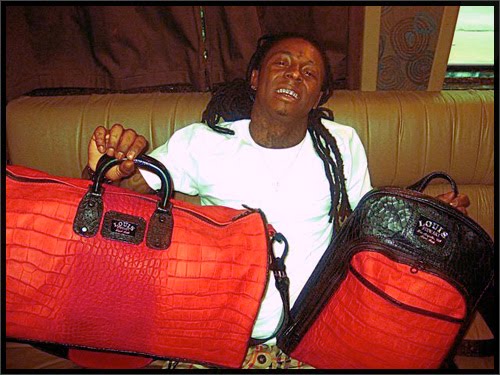 Press Worthy VIXEN: The New Wave: Louis Stewart Bags