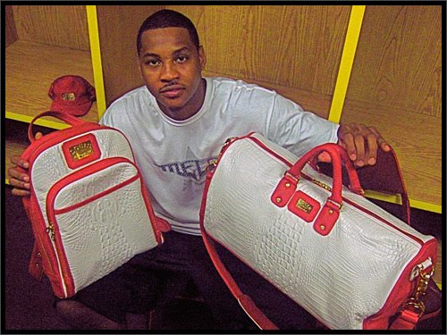 Press Worthy VIXEN: The New Wave: Louis Stewart Bags