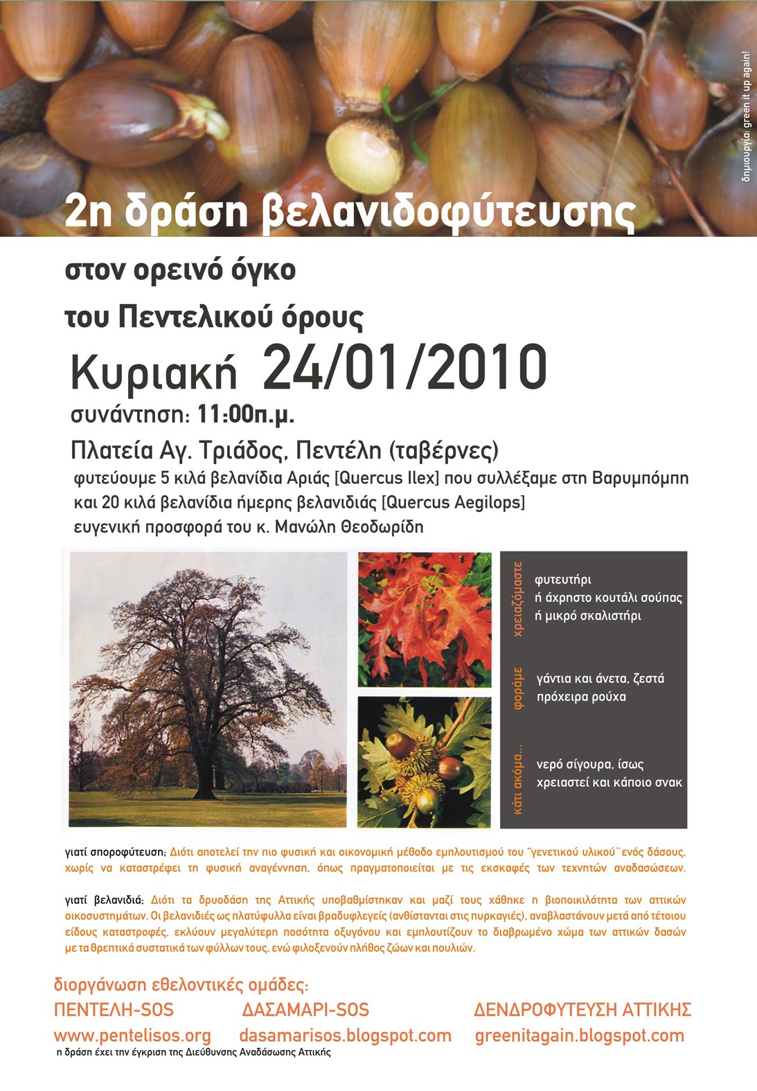 Δασαμάρι S.O.S.: Αναδασωση με σποροφυτευση βελανιδιων
