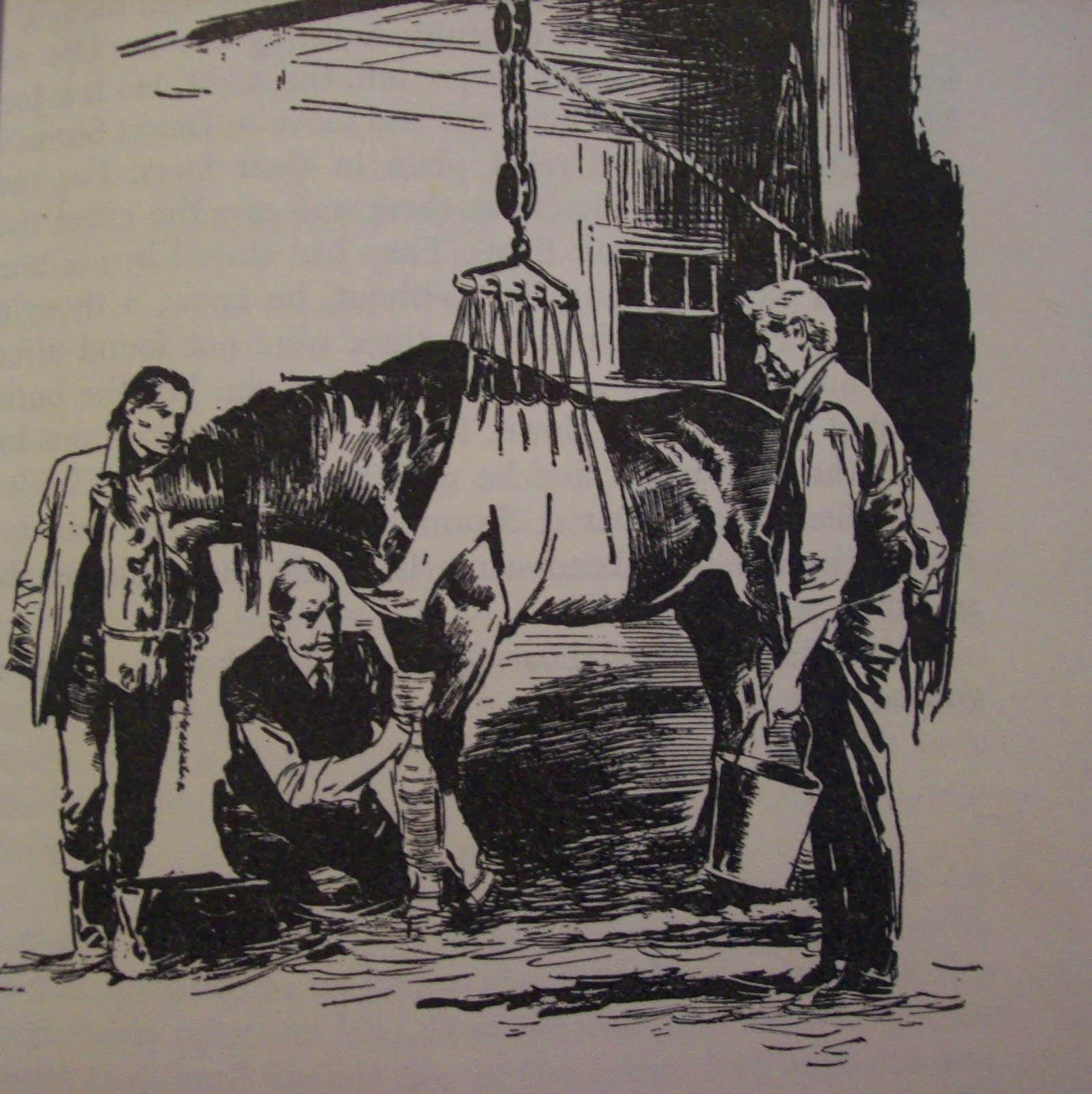 The Pony Book Chronicles: Tamarlane, Strange Son Of Desert Storm (1959)