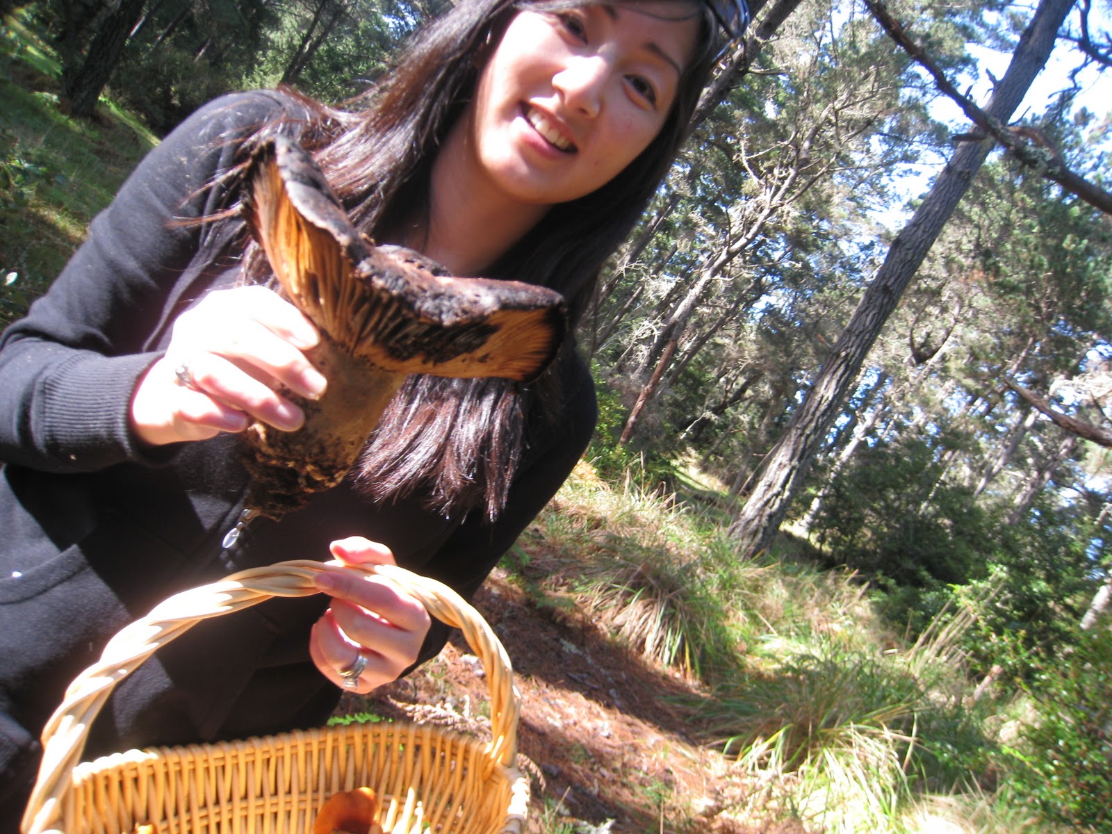 ALL THINGS FOOD: Mushroom Foraging @ Salt Point State Park
