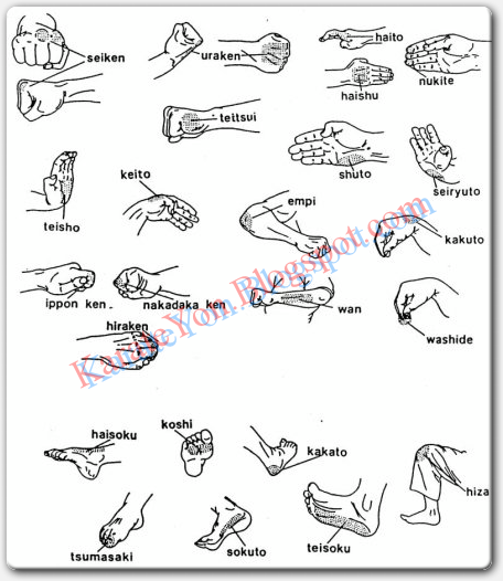 ATEMI-WAZA|KarateYon
