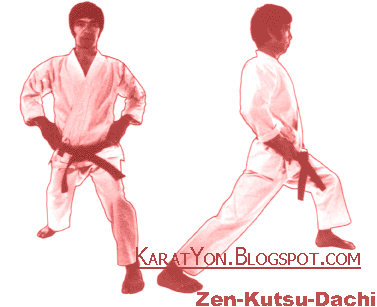 TECHNIQUES SHOTOKAN|KarateYon