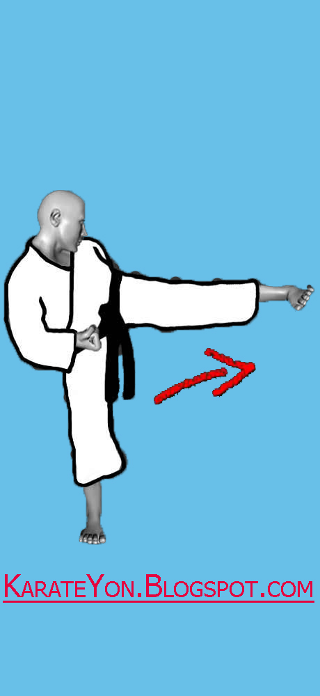 TECHNIQUES GOJU RYU|KarateYon