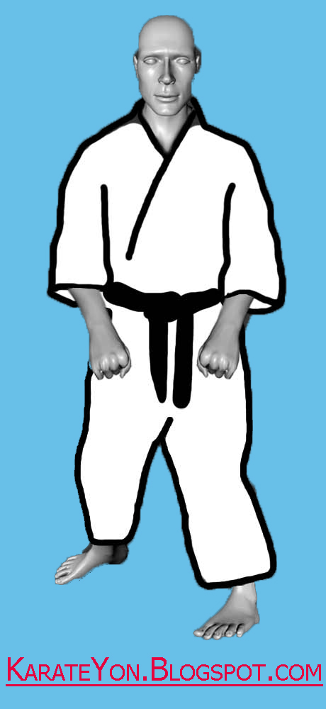 TECHNIQUES GOJU RYU|KarateYon