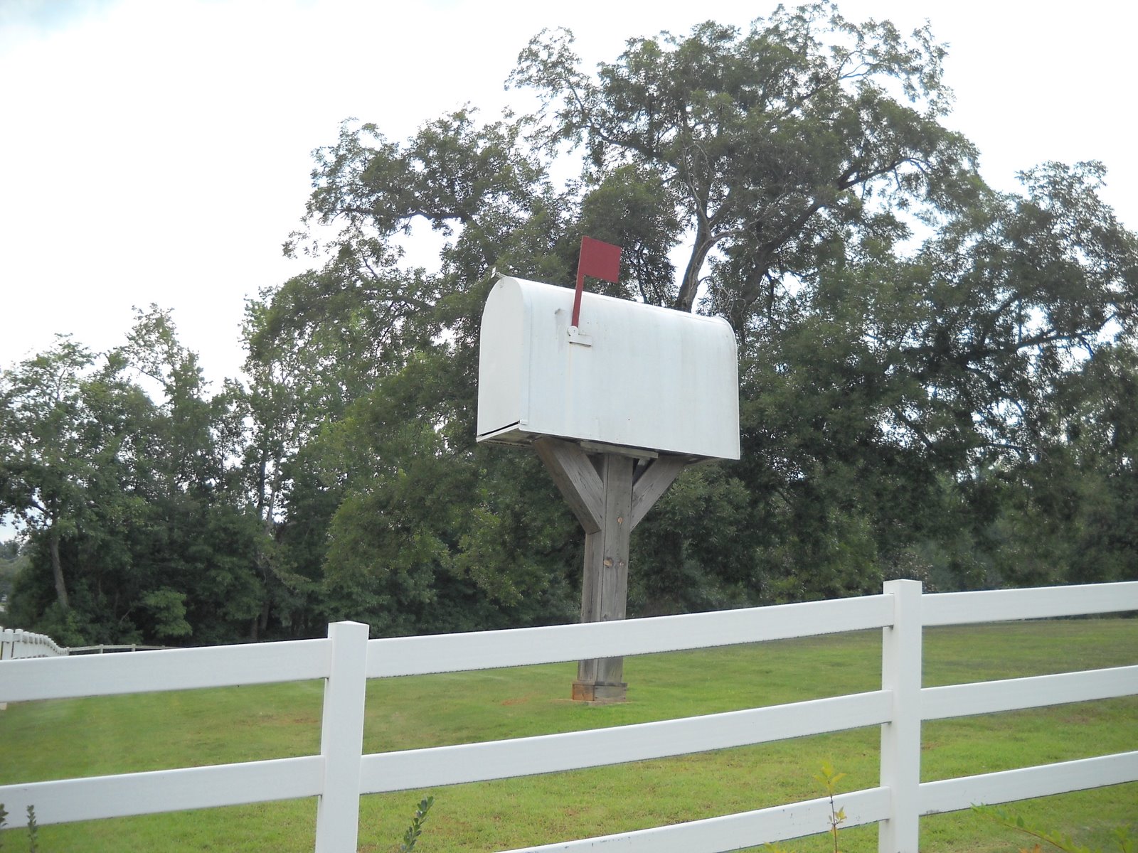 Gold Hill Plant Farm: Big Mail Box