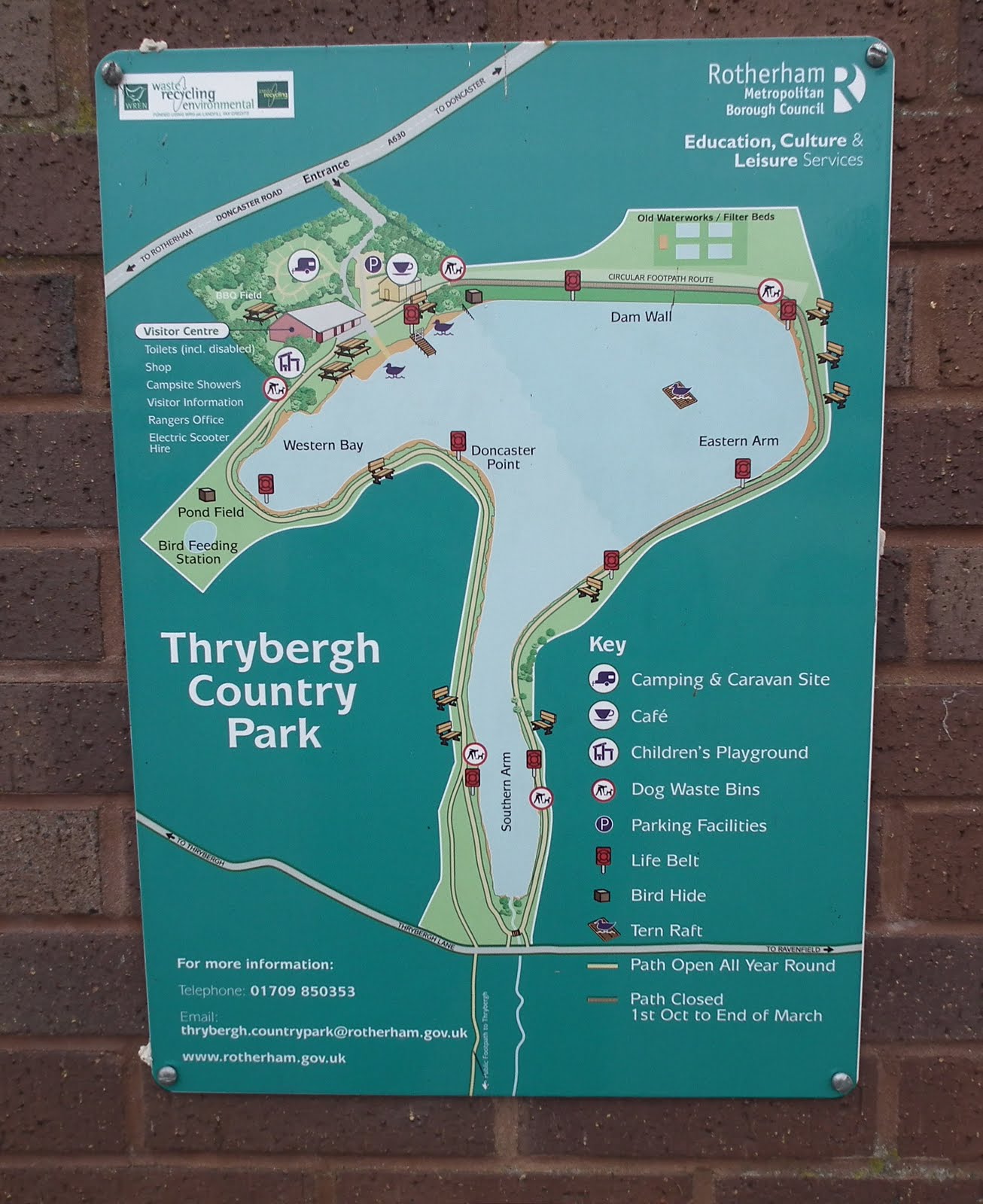 All Beak and Feathers: November 2010 - Thrybergh Country Park