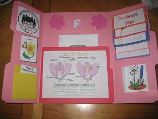 My Crazy Life of Homeschooling: Flower Lapbook