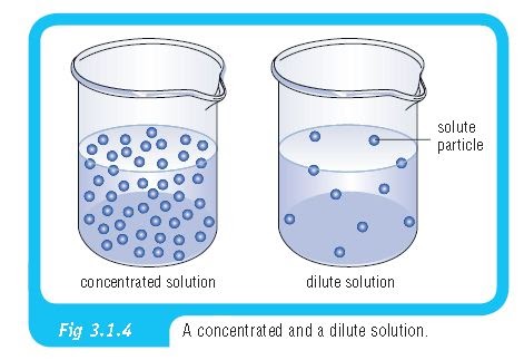 Concentration | jp7numeracy
