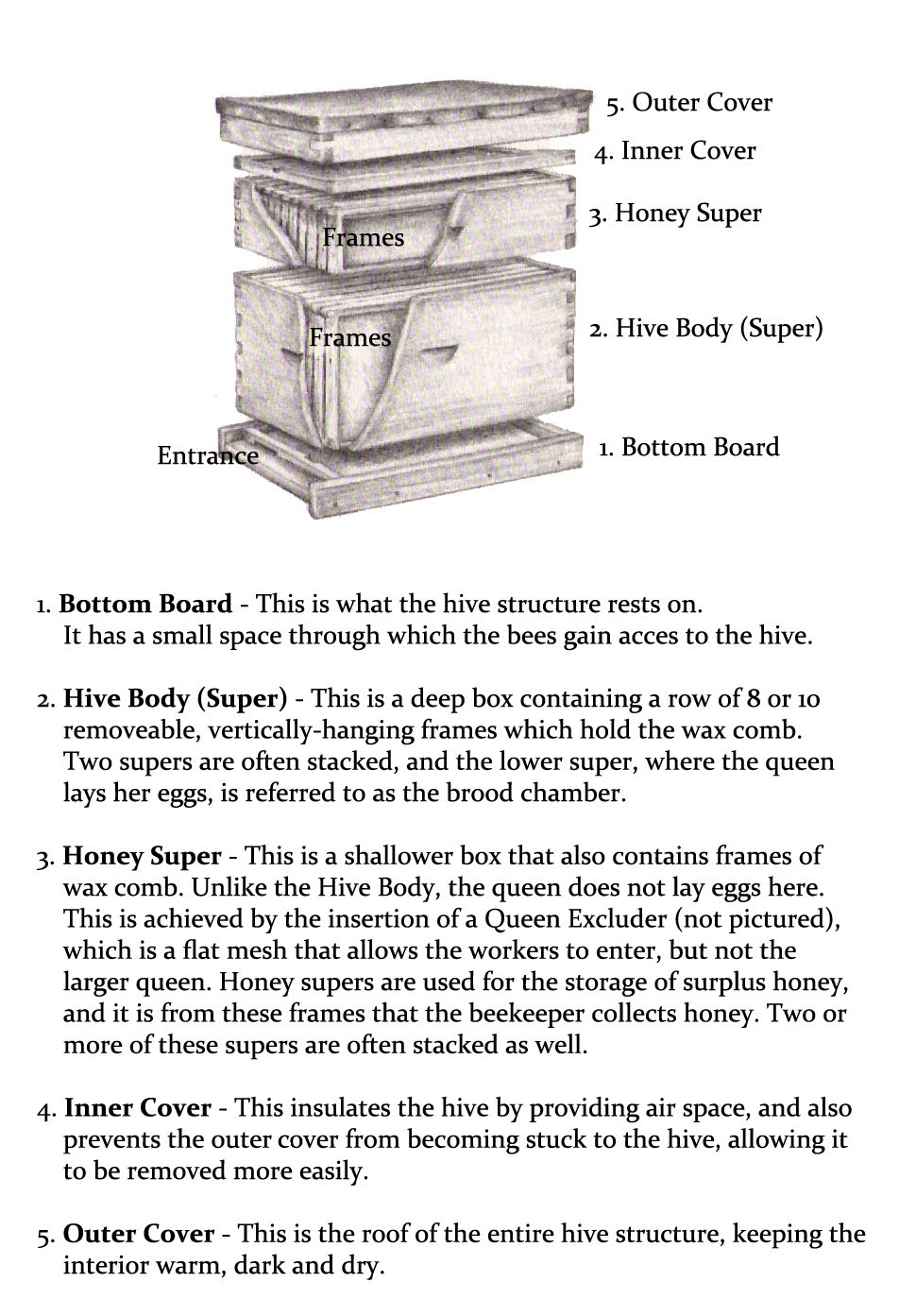 I've Got Hives!: Bee Informed, Part 1: The Parts of a Hive