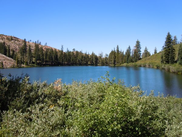 I'm Going Outside: Carr Lake to Grouse Ridge, Sept 2010