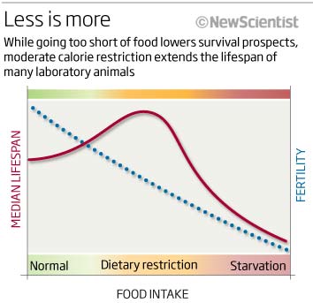 ScienceHealthyLongLife by Crabsallover: Eat less, live longer? Or Just ...