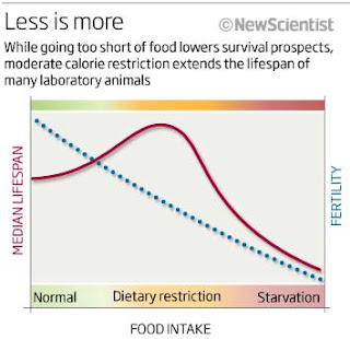ScienceHealthyLongLife by Crabsallover: Eat less, live longer? Or Just ...