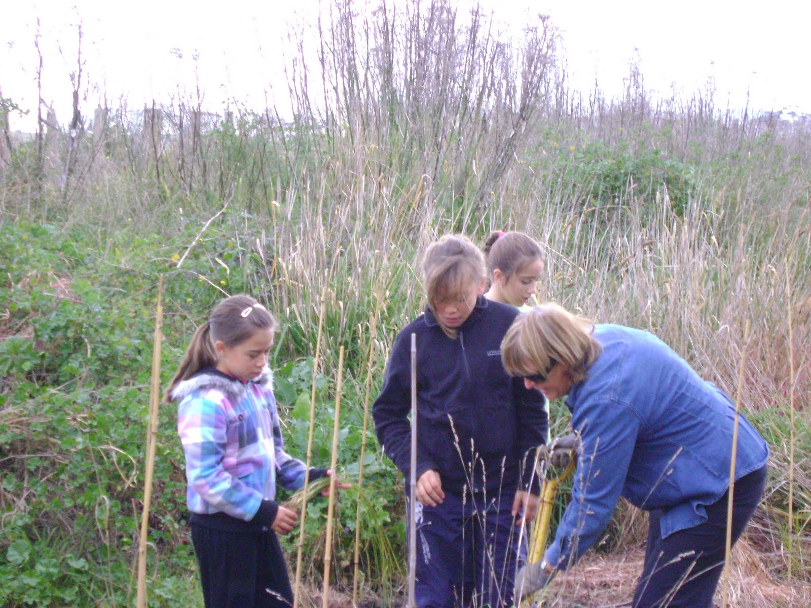 Room 3 Awapuni School