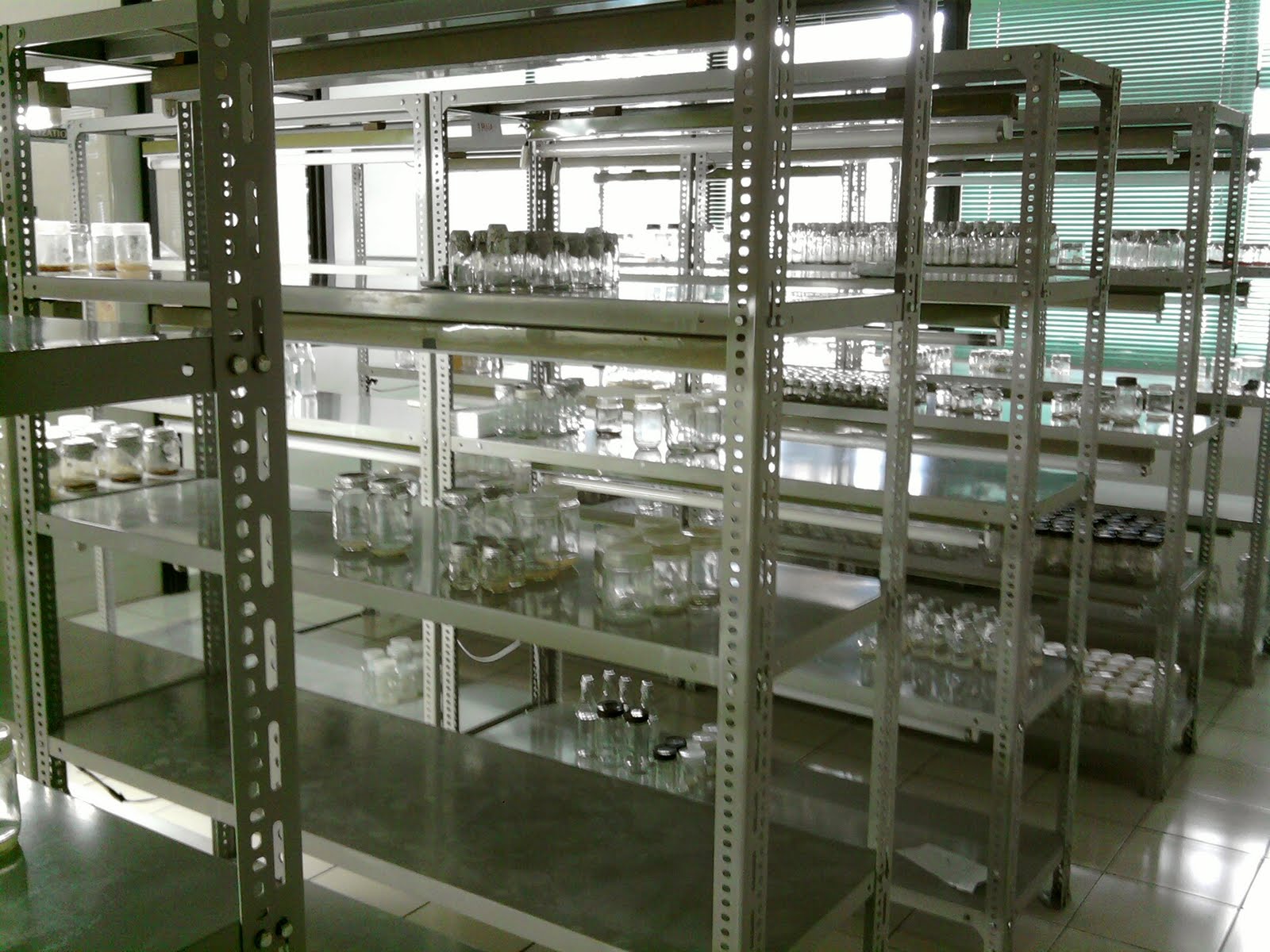 TISSUE CULTURE AND ORCHIDOLOGI: KUNJUNGAN KE LABORATORIUM KULTUR ...