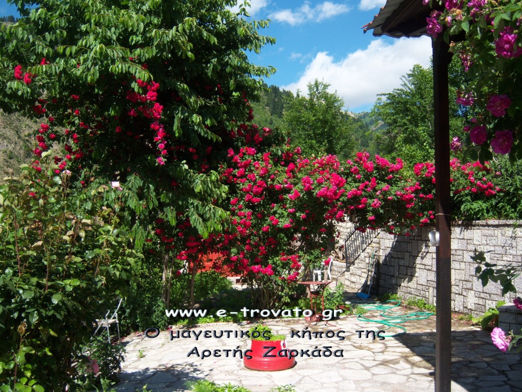 ΤΡΟΒΑΤΟ ΕΥΡΥΤΑΝΙΑΣ