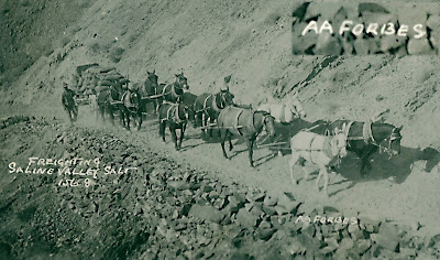 Saline Valley Salt Tram: A. A. Forbes: Salt Tram Photographer
