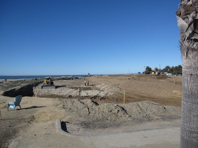 Ventura River Ecosystem: Surfers' Point Cobble Berm