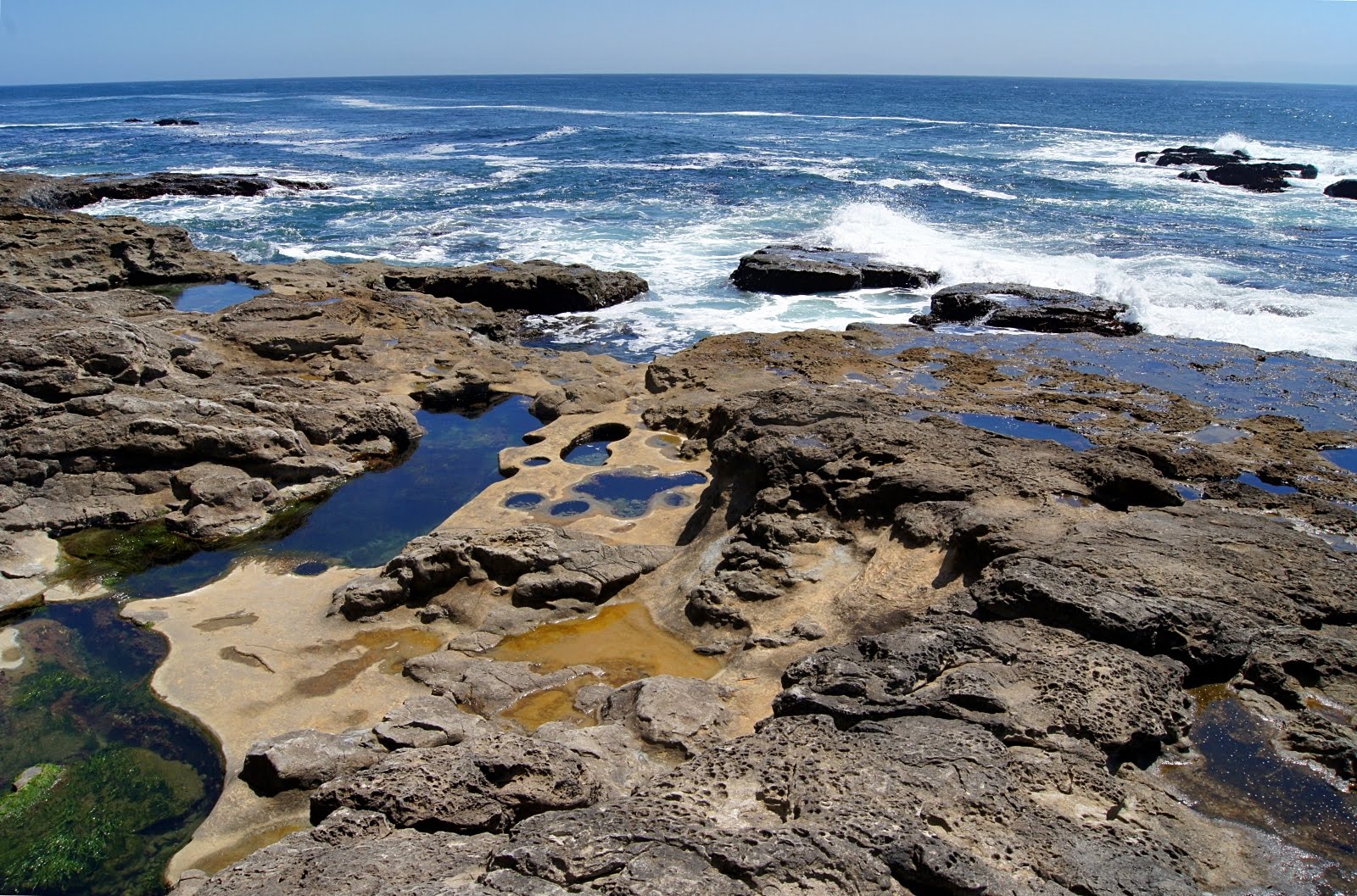 Victoria Daily Photo: The West Coast II - Botany Bay
