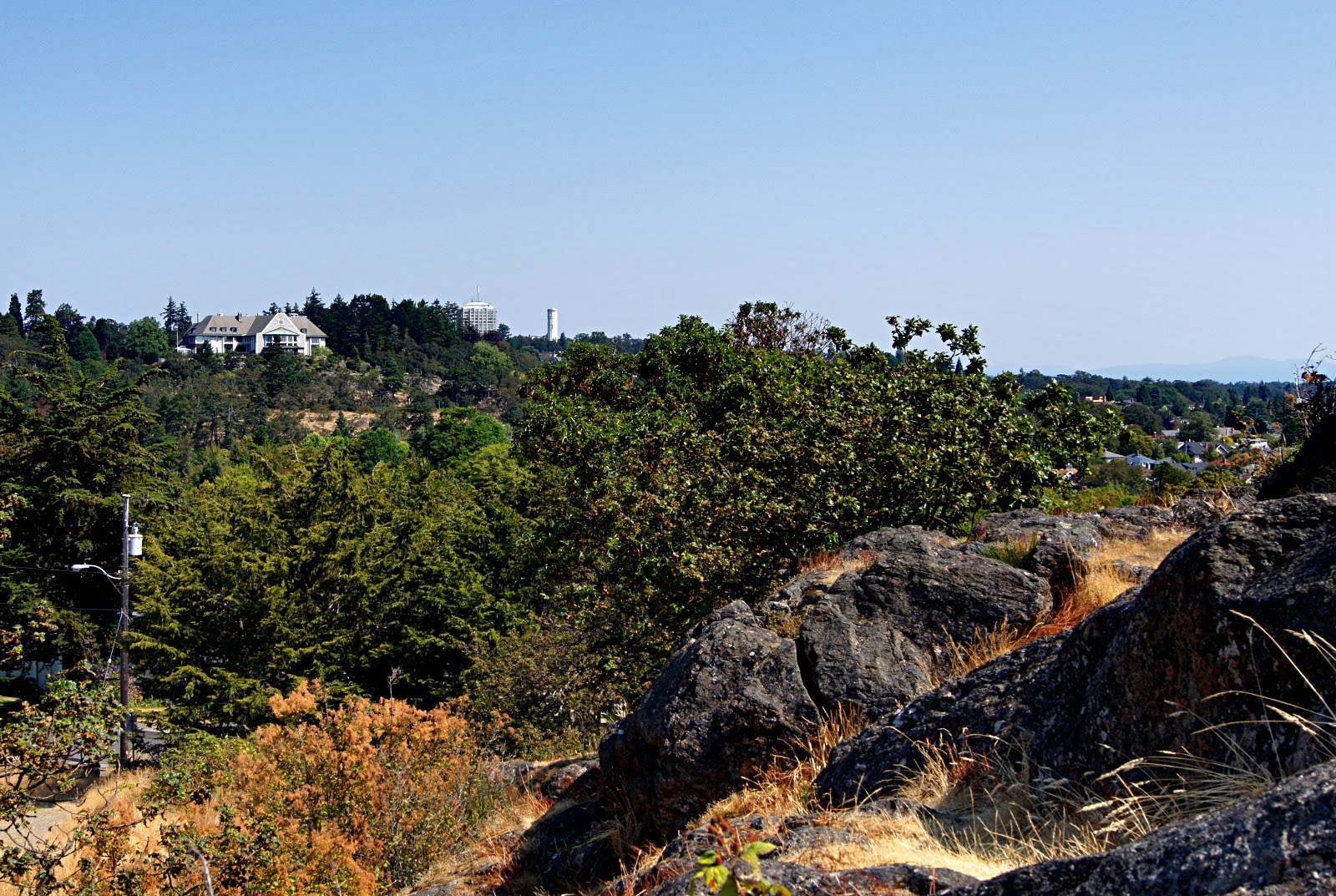 Victoria Daily Photo: NOT the Coit Tower