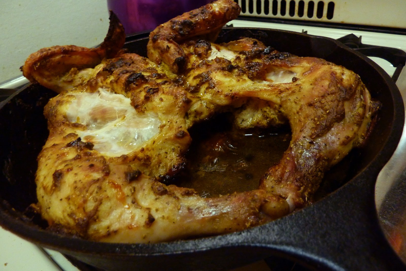 KKNY: The First Chicken