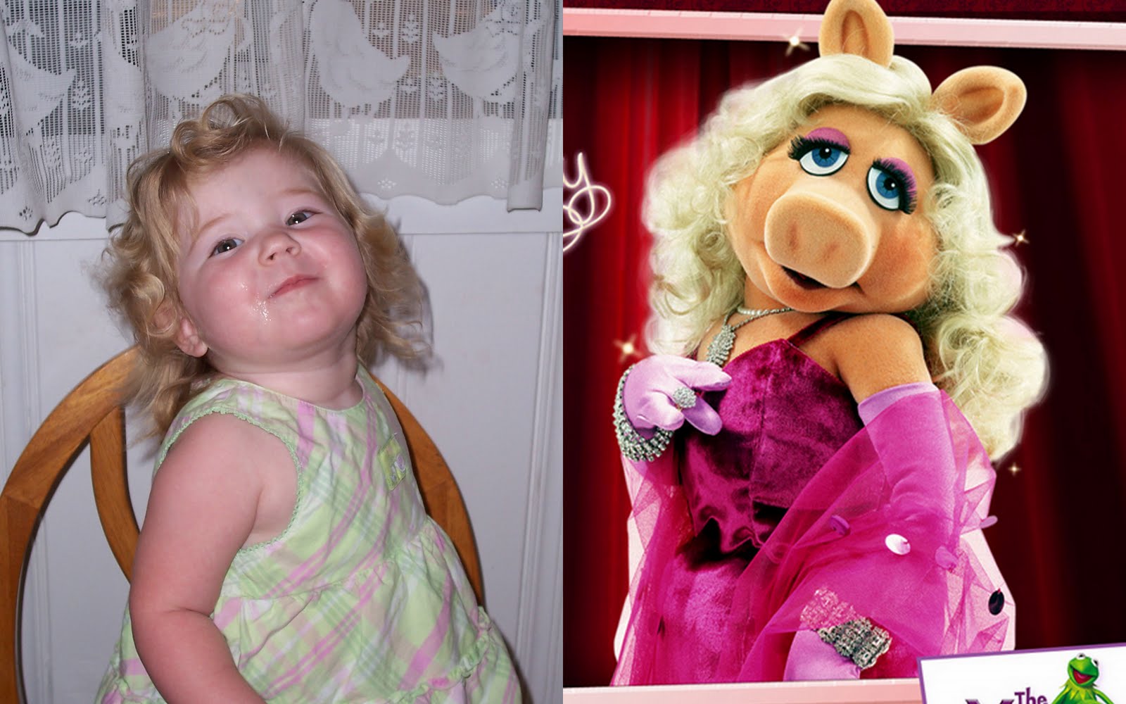 29,000 people and a million butterflies: Muppet Mashup