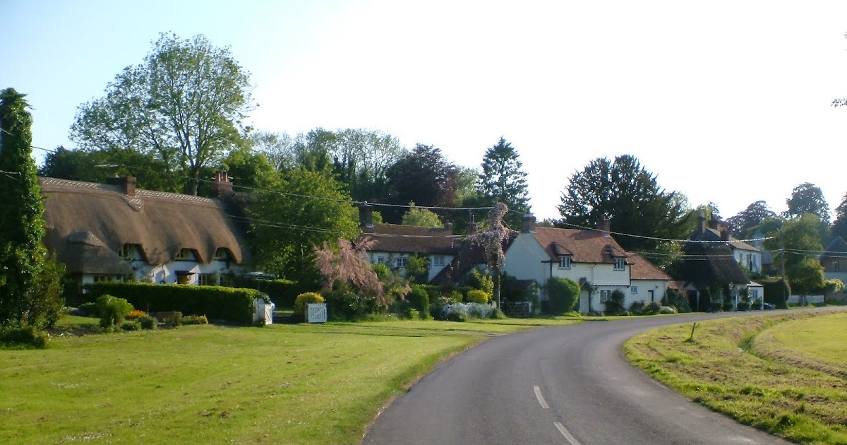 life between the flowers : Climbing potato vine Solanum Crispum ...