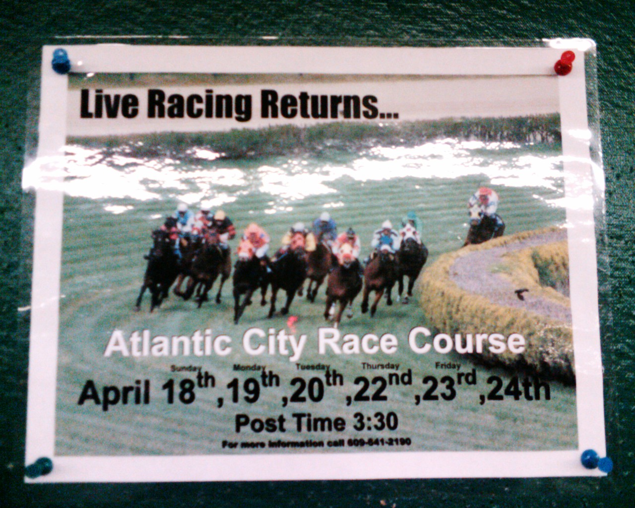 step off george: Atlantic City Racetrack/Course LIVE RACING DATES 2010