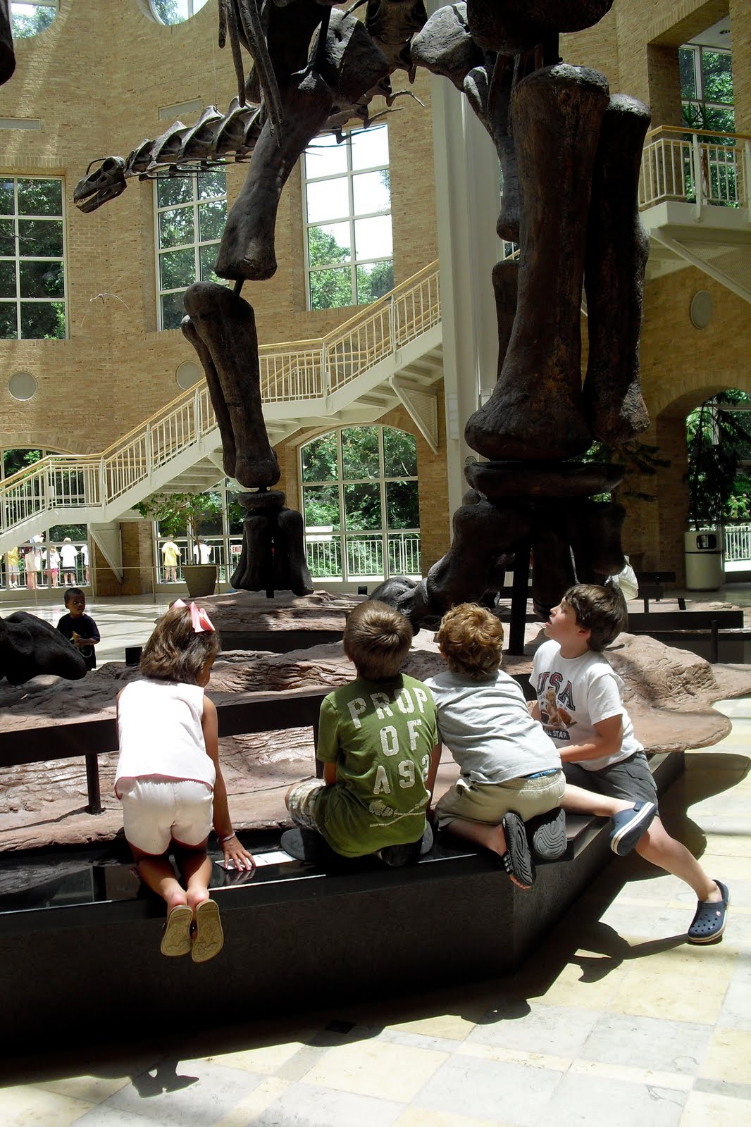 Who Has More Fun Than Us?: Fernbank Museum of Natural History