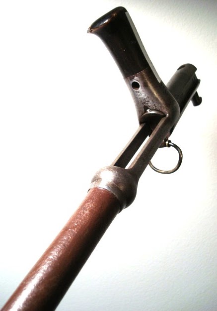 Just Looking: IMAGES OF SOME OF THE WALKING STICKS ILLUSTRATING ...