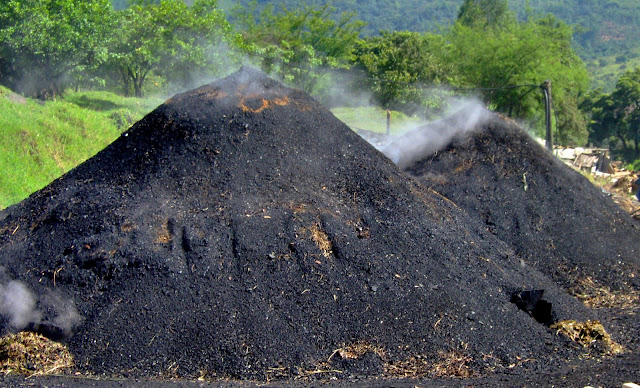 INTERNATIONAL CHARCOAL TRADING CORP/EL CARBONERITO: NUESTROS CARBONES
