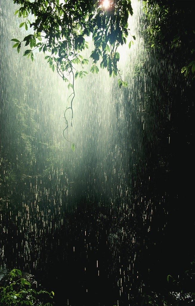 Epitome: The Approaching Rains of the LORD