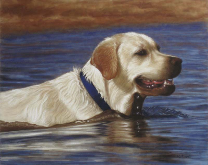 Art Obsession: The Artwork of Kari Tirrell: Yellow Lab Portrait in Soft ...