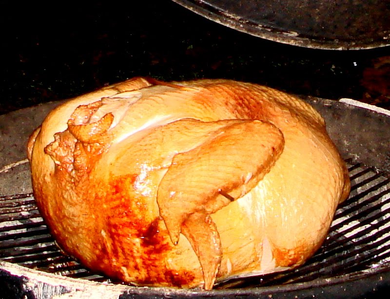 Leafy Tree Tops: The Turkey