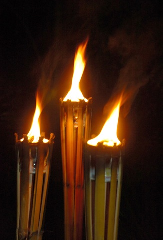 RECRIE-SE: A TOCHA, SÍMBOLO SAGRADO DO DISCÍPULO DA LUZ