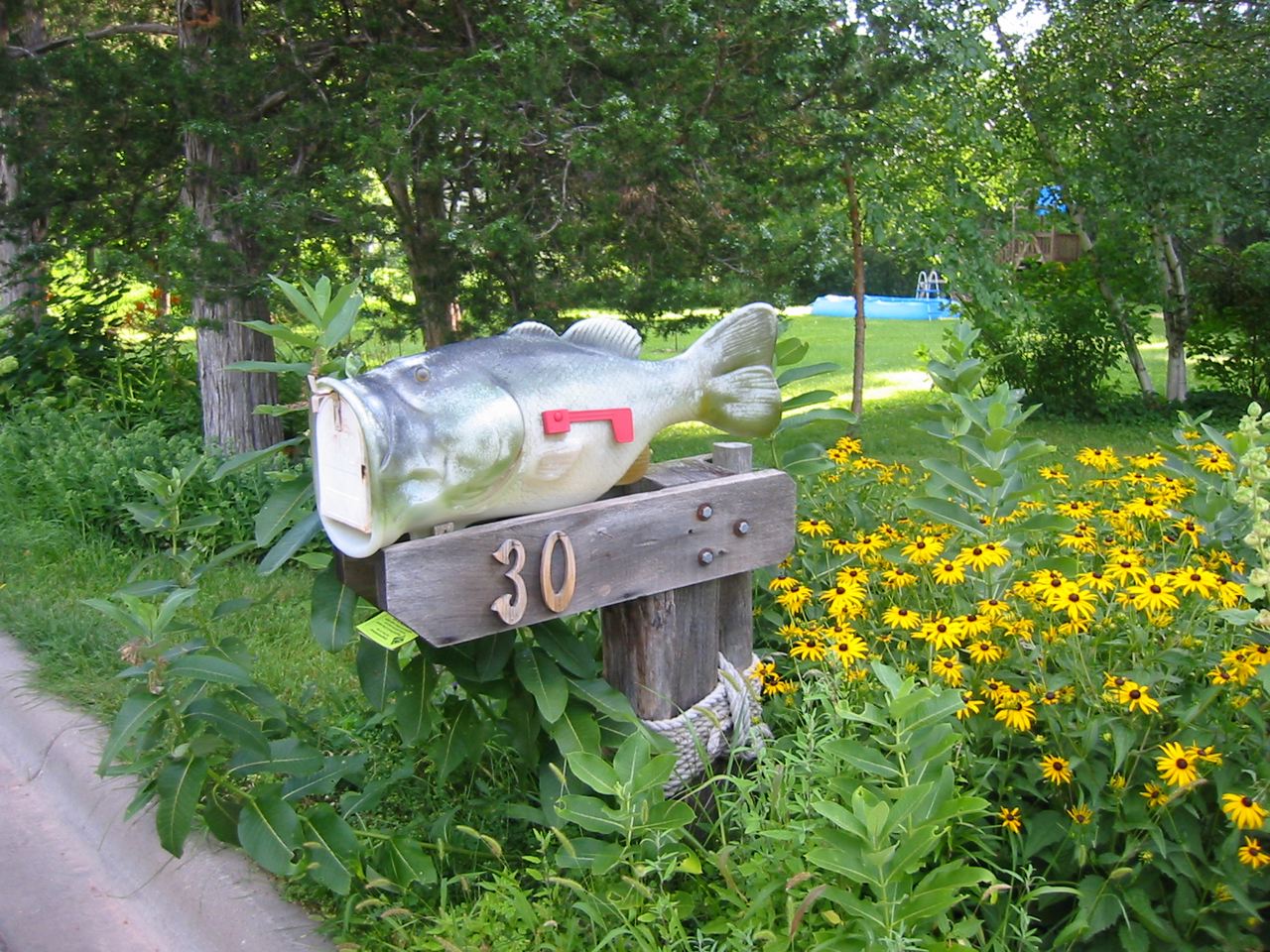 The Fab Miss B: More Humble Humor: Walleye Mailbox